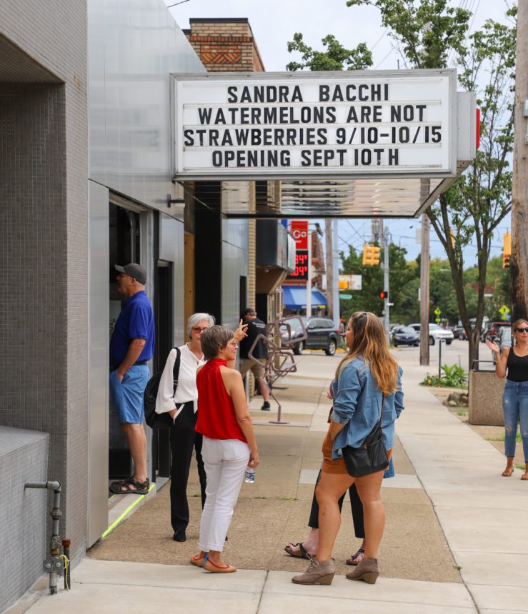 Sandra Bacchi: WATERMELONS are not STRAWBERRIES - Art Exhibition ...