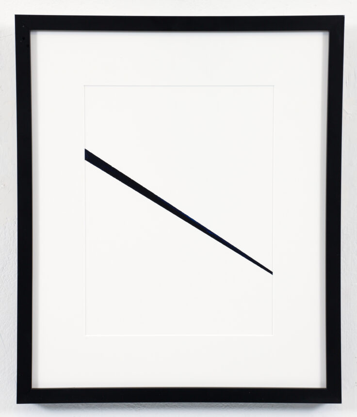 Dee Briggs: Precarity - Art Exhibition - Concept Art Gallery